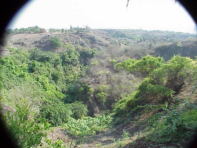 Eco-Adventures in Manzanillo--When you care about nature.